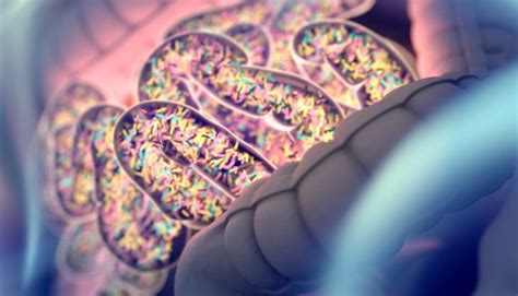 Healthy Gut Mayo Clinic Press