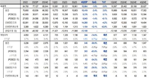 Posco홀딩스 실적·투자 속도 조절 국면목표가↓ 유안타