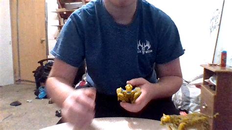 Cheeter R Transformers