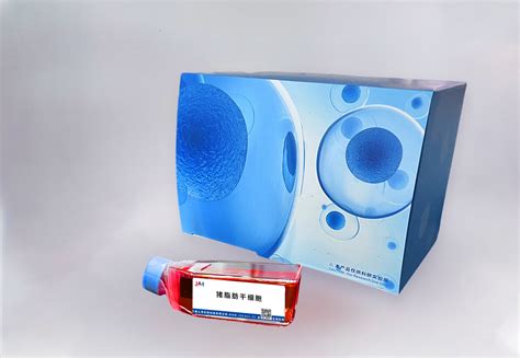 猪脂肪干细胞金少源上海生物科技有限公司