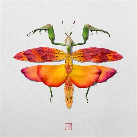 Insects Crafted Out Of Plants By Raku Inoue Design Swan