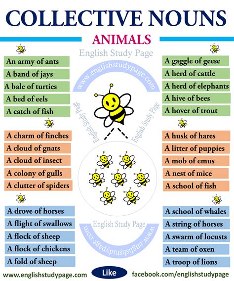 Collective Nouns List