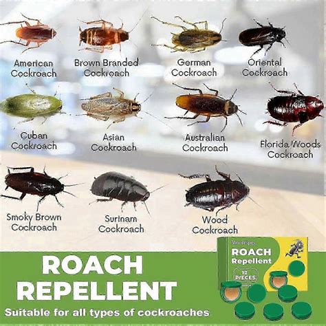 Moonspry 12 Pack Cockroach Gel Bait Trap Roach Repellet Pest Control