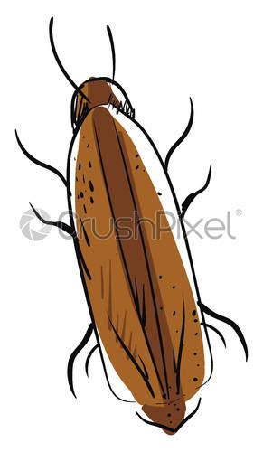 Sad Cockroach Illustration Vector On White Background Stock Vector Crushpixel