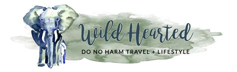 Scuba Diving Quotes That Put Your Love Of The Ocean Into Words