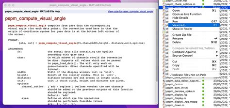 Sort Out Help Text Issue Bachlab PsPM GitHub