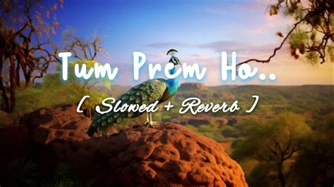Tum Prem Ho Tum Preet Ho Radha Krishna Slowedreverb Bhajan Lofi
