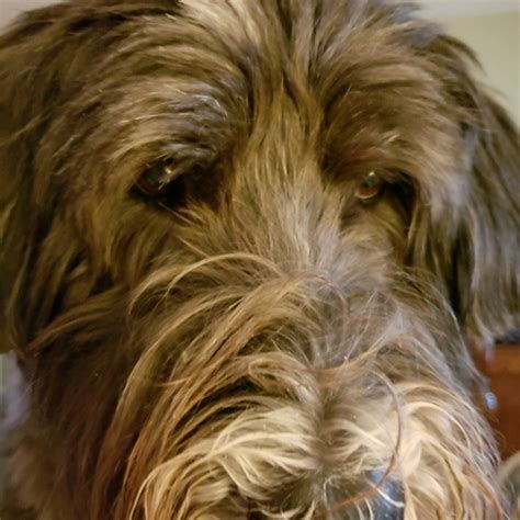 Diane Limber Facebook Instagram And Twitter On Peekyou