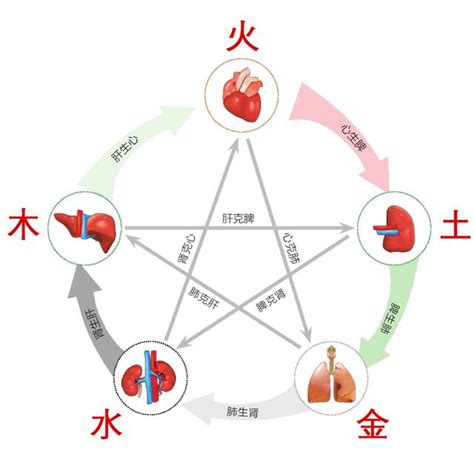 萬物都在五行之中那五行到可以運用在生活哪些方面呢 每日頭條