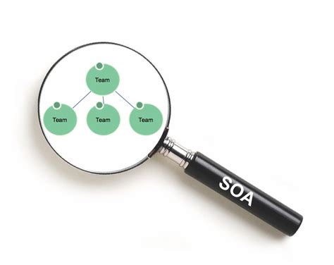 Guiding Organizational Design With Soa Principles Leadingagile