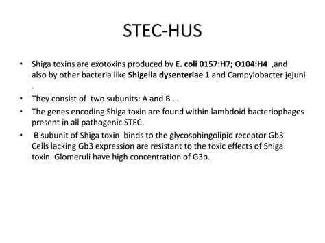 Maha Hus And Ttp Presentation[3614]final Presentation Ppt