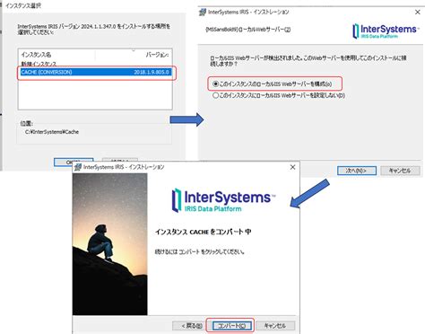 Iis Cach Csp Iris Web Intersystems