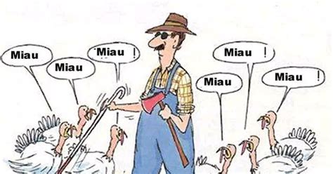 Мяу! | Пикабу