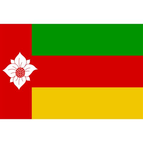 Vlag Tynaarlo 70x100cm Grote Bootvlag Tynaarlo