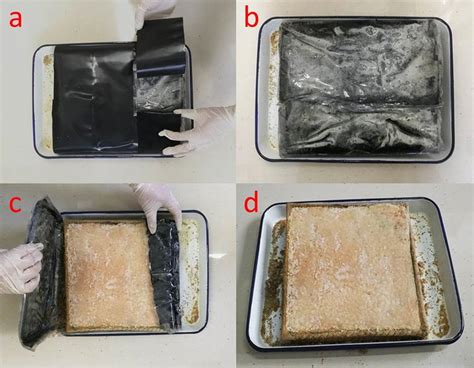 A Removal Of Double Sided Self Adhesive Bandages B C Removal Of Download Scientific Diagram