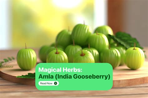 Amla Benefits Common Uses Side Effects And Risks Ayurheals