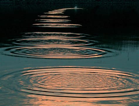 夕焼けの波紋 By Ojityann （id：3161868） 写真共有サイトphotohito