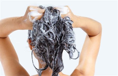 Fleas In Human Hair Treatments And Home Remedies