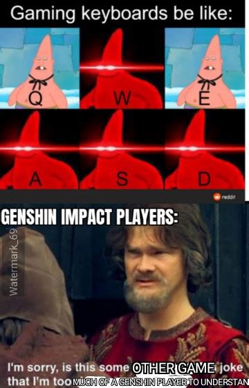 Dunno Just Did Some Random Stuff Rgenshinmemepact