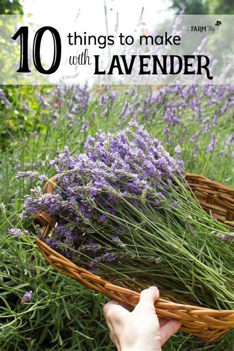 10 Things To Make With Lavender Artofit