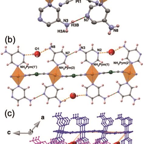 A Ortep View Of The Asymmetric Unit Of 1pt·h2o At 260 K Download