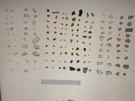 Segmentation Classification And Counting Image Analysis Image Sc Forum