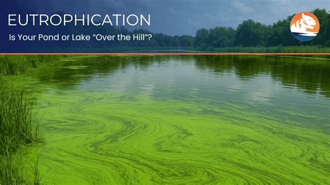 Eutrophication Is Your Pond Or Lake Over The Hill Tigris Water