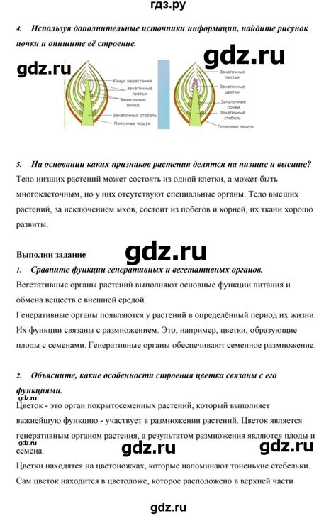 ГДЗ параграф 13 биология 5 класс Сивоглазов, Плешаков