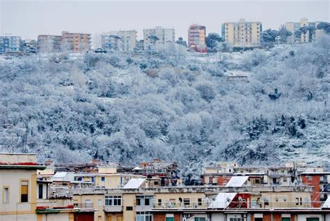 Premium Photo Snowy Landscape Snow Covered Trees In The City