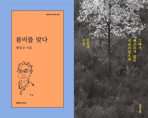이 세상에 다 써버린 목숨 같은 건 없다 원로 시인들의 귀환 책과 세상