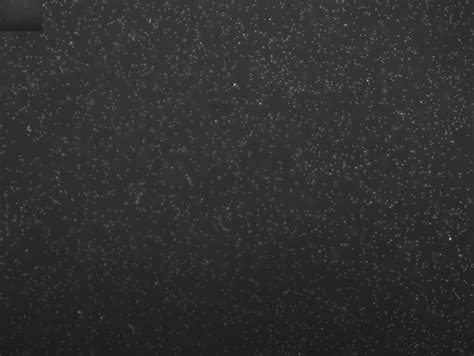 How To Interpret Drift Between 2 Images Using The Function Normxcorr2