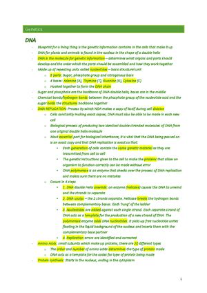 Safe Work Self Assessment Tests Last Update 20 November 2018 Back To