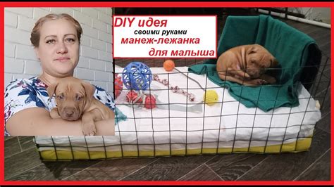 Манеж-лежанка для щенка своими руками - YouTube