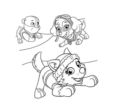 Эверест Раскраска Щенячий Патруль 70 фото