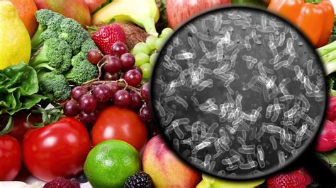 New Research Advances Industry Understanding Of Foodborne Bacteria Survival In Food Preparation