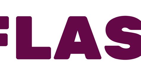 Flaster Franchise For Sale Franchise Direct