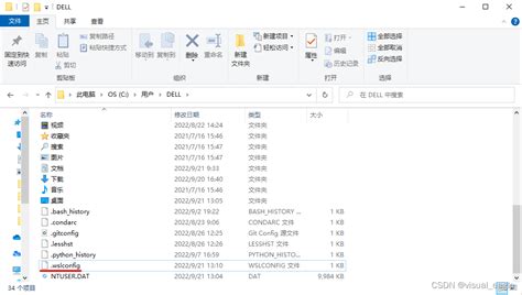 一小时快速上手win10 Docker 、vscode、mobaxterm、git协作开发mobaxterm Git Csdn博客