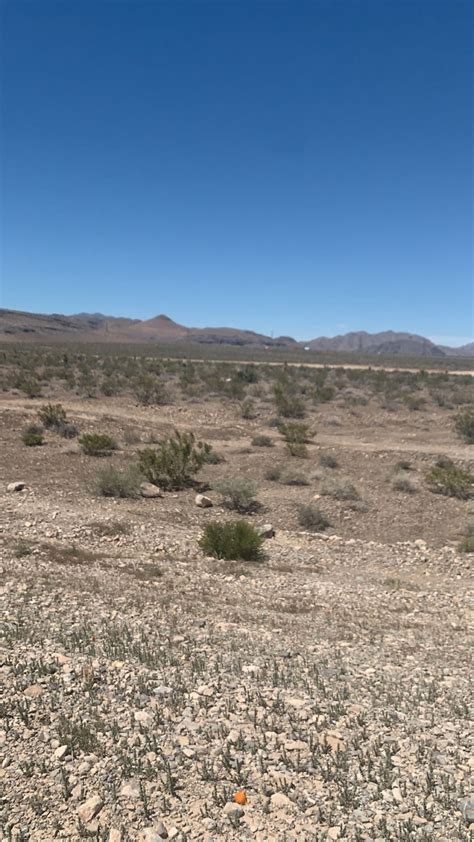 Looking To Hire A Certified Dust Monitor For Upcoming Long Term Site Please Email Me