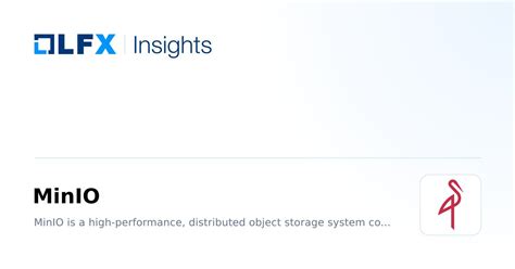 Lfx Insights Minio Insights