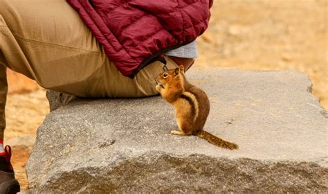 Cameron Britton The Independent Photographer