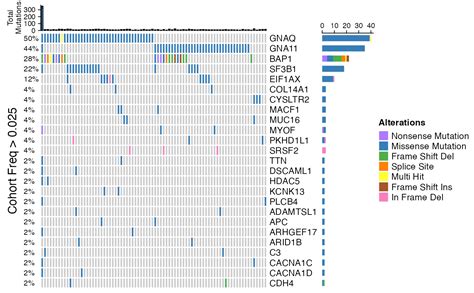 Function To Generate A Dashboard From A Maf File — Generateoncoplot