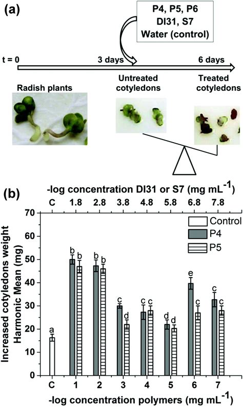 Polyphosphazene Based Nanocarriers For The Release Of Agrochemicals And Potential Anticancer