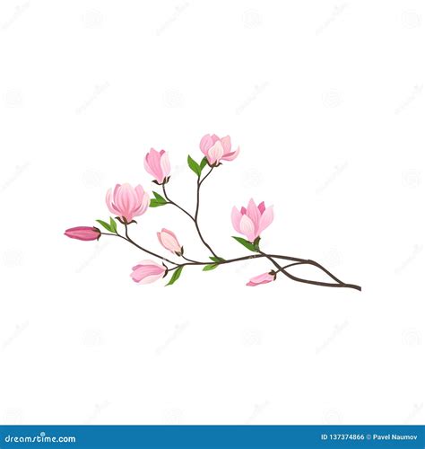 A Small Branch With Green Leaves Generative Ai Image 335108617