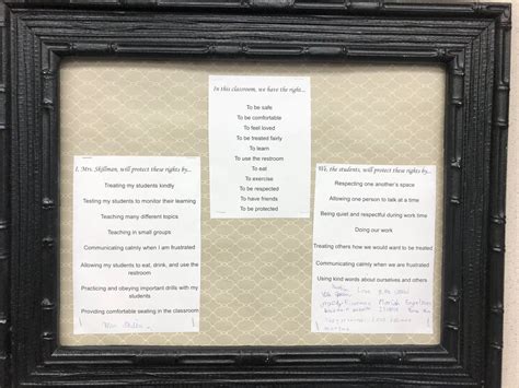 Class Constitution Mrs Skillmans Class