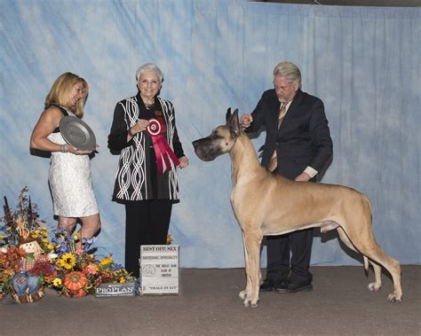 Gdca National History