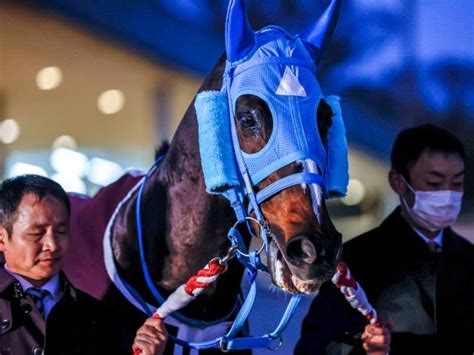 オジュウチョウサン競走馬登録抹消、種牡馬に 競馬ニュース Netkeiba