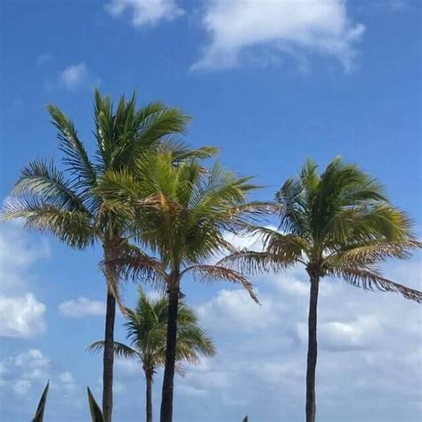 Atune With Your Intuition By Listening To Your Anja Chakra Kara Morelli