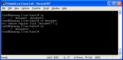 The Linux Command Line