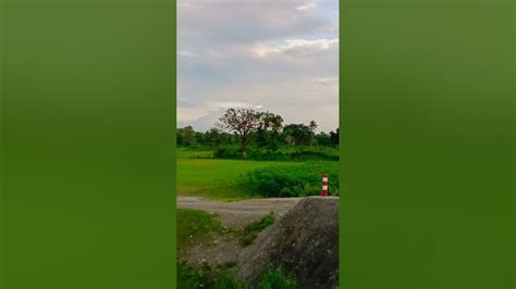 রৌমারী তুরা রোড পর্যটক কেন্দ্র ️ Youtube