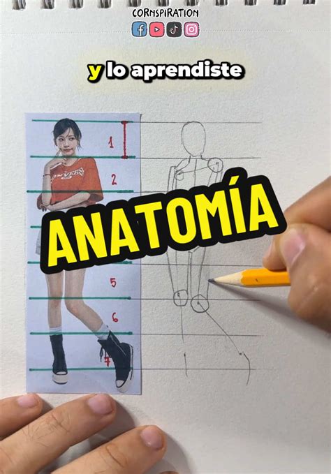 Cómo Dibujar El Cuerpo Humano Tutorial Completo Tiktok